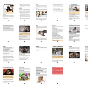 Secrets of Cat Care Cat Raising, Cat Caring - Etsy