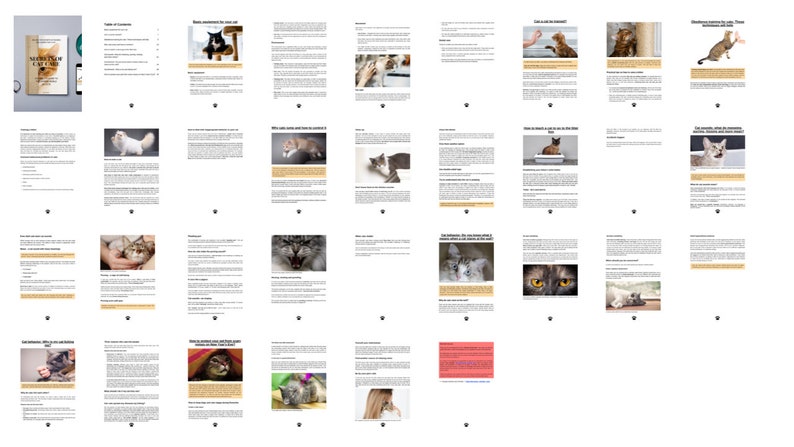 Secrets of Cat Care Cat Raising, Cat Caring - Etsy