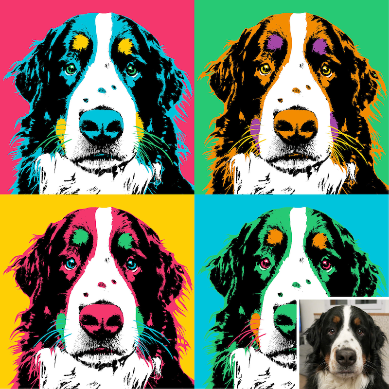 Pet Pop Art - Etsy