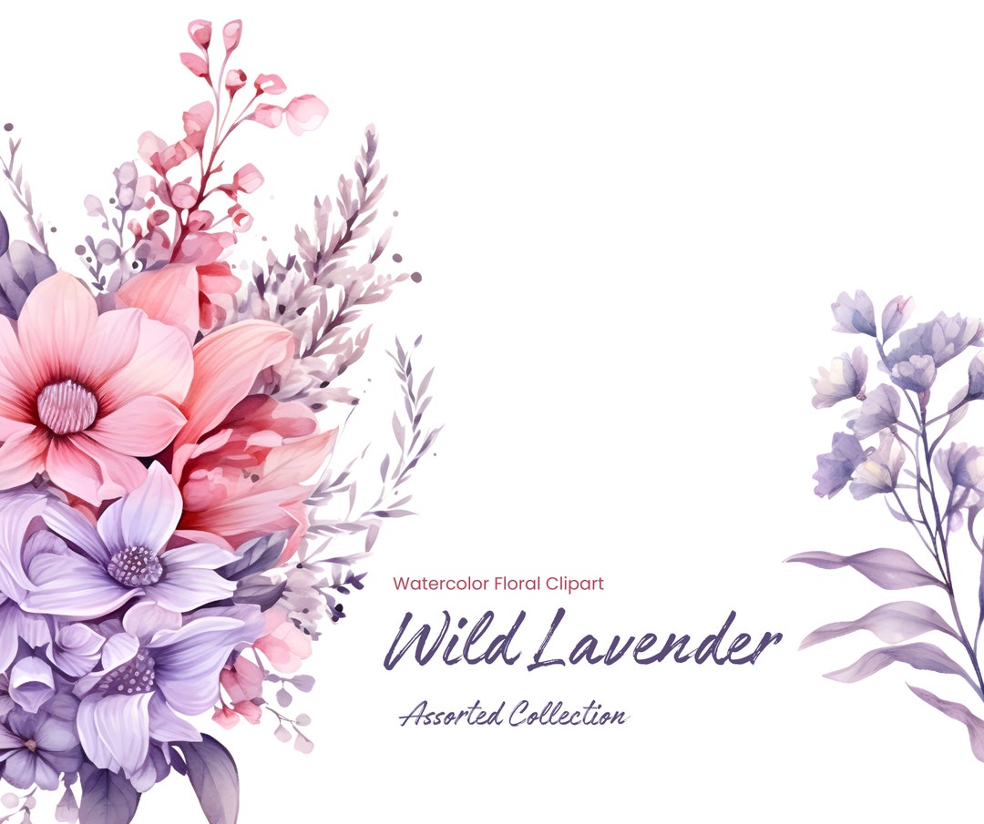 Watercolor Lavender Floral Clipart Floral Pngs Commercial Use Digital ... Watercolor Lavender Floral Clipart Floral Pngs Commercial Use Digital ...