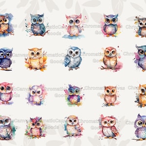 Watercolor Owl Clipart Digital Png Owls, Owl Graphics for Instant ...