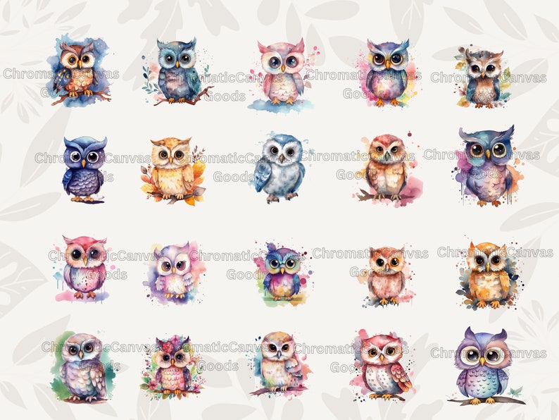Watercolor Owl Clipart Digital Png Owls Owl Graphics for - Etsy