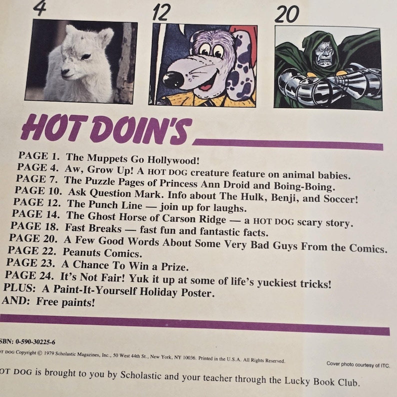 Muppets Hollywood Kermit the Frog Hot Dog! Magazine Kids Activity Book ...