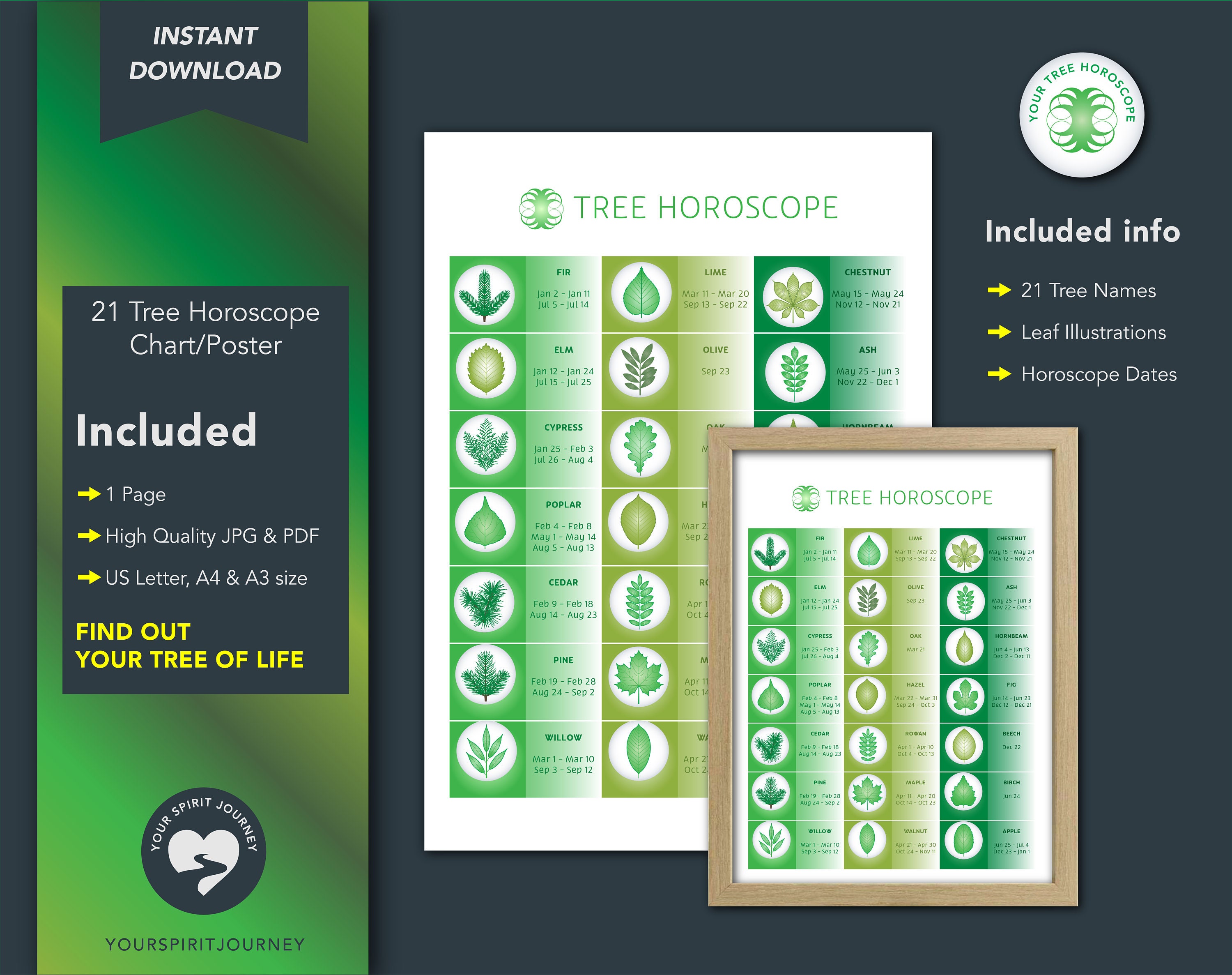 21 Tree Horoscope Chart/poster - Etsy