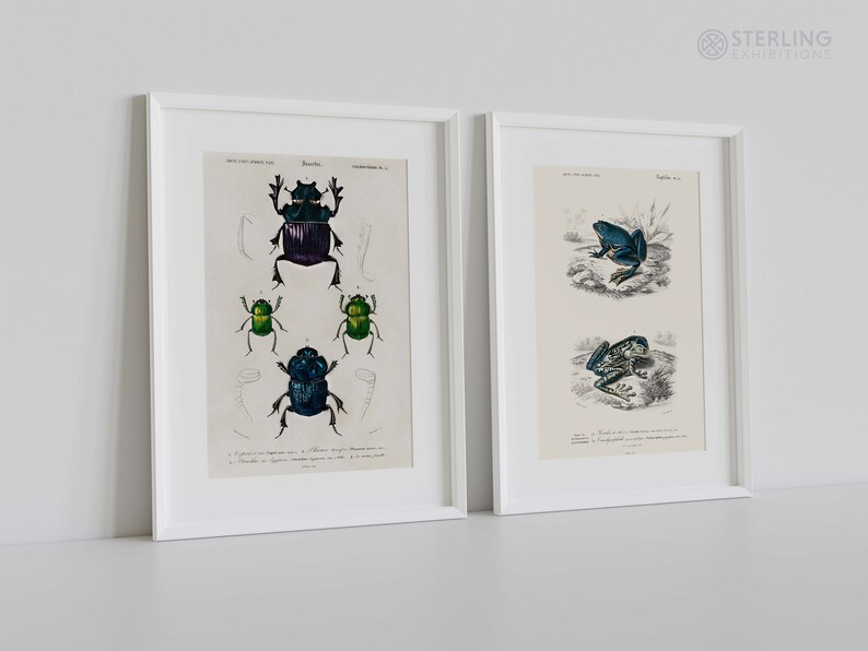 15 Piece Blue Coven Artwork Bundle, Gallery Wall, Witchy, Cottagecore ...