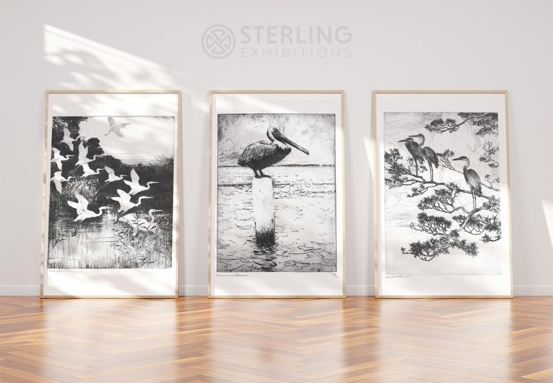 4 Waterfowl Bird Prints, Posters, Living Room Decoration, Art, Black ...