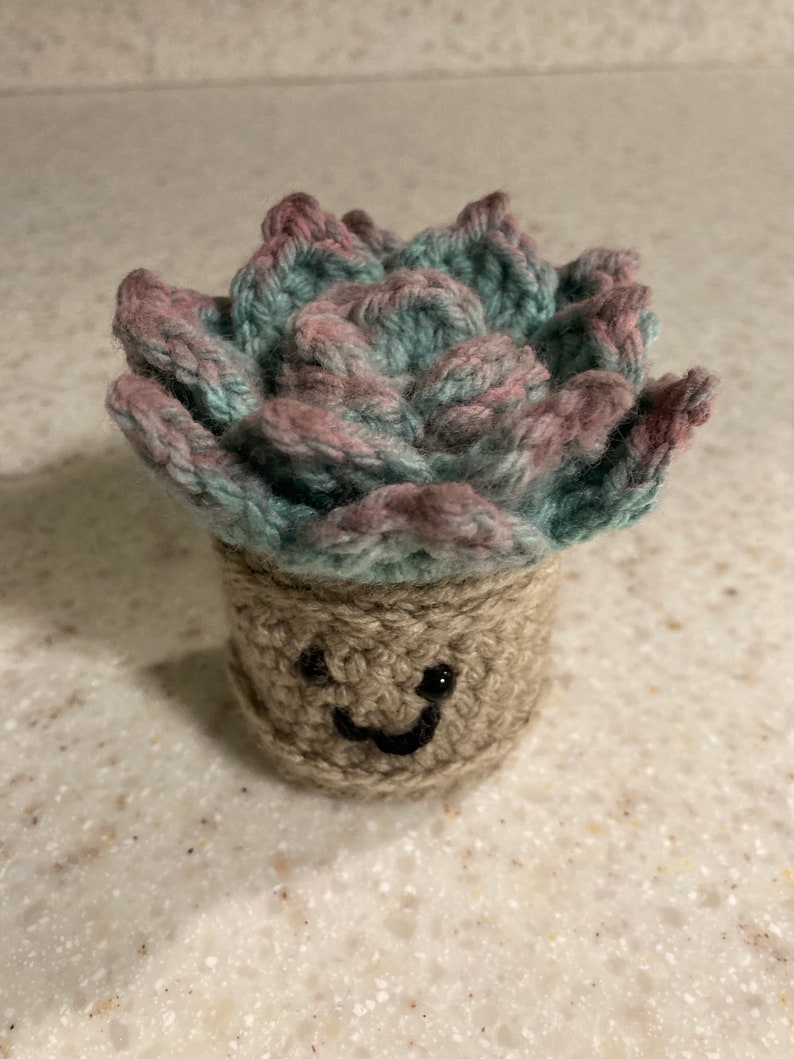 Cute Little Amigurumi Potted Plants-succulents & Venus Fly Trap - Etsy