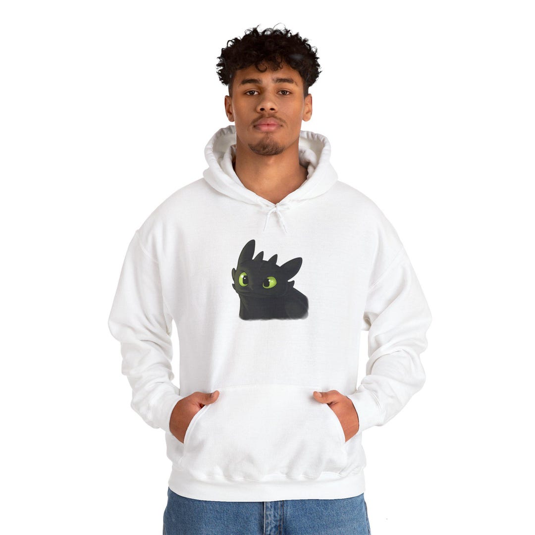 Toothless From How to Train Your Dragon Pullover Hoodie Unisex Heavy ...