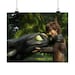 Matte Horizontal Poster Featuring Toothless and Hiccup From How to ...