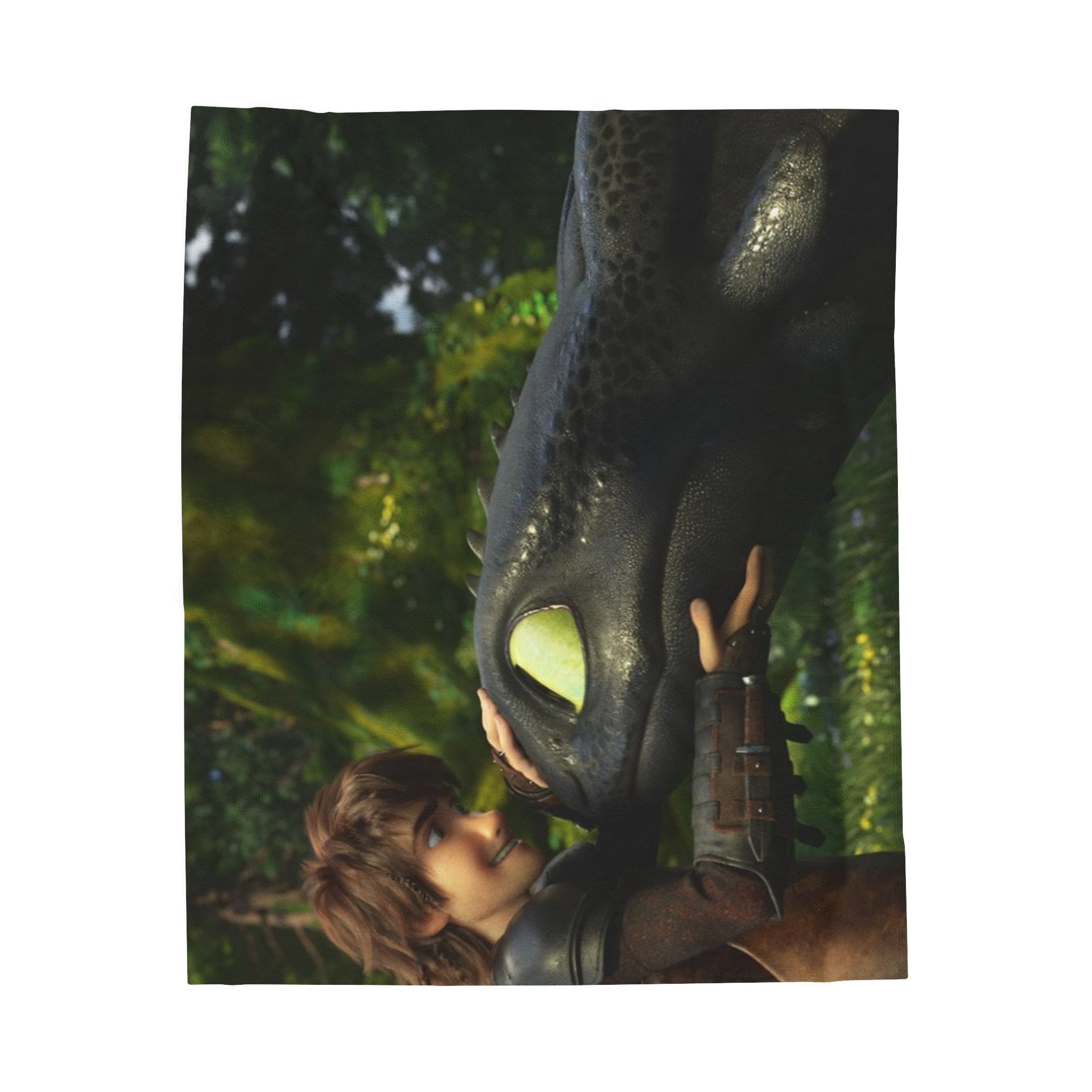 Hiccup and Toothless Velveteen Plush Blanket - Etsy