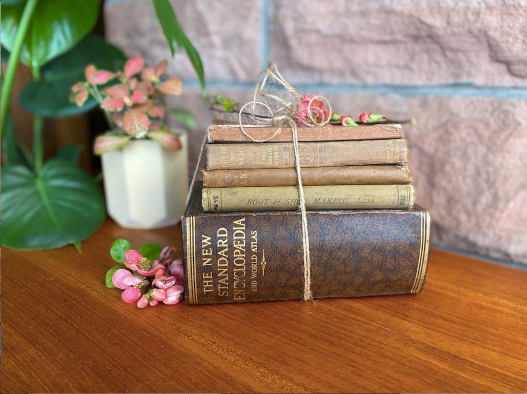 Antique Book Stack, Brown Vintage Books , Vintage Coloured Book Bundle ...
