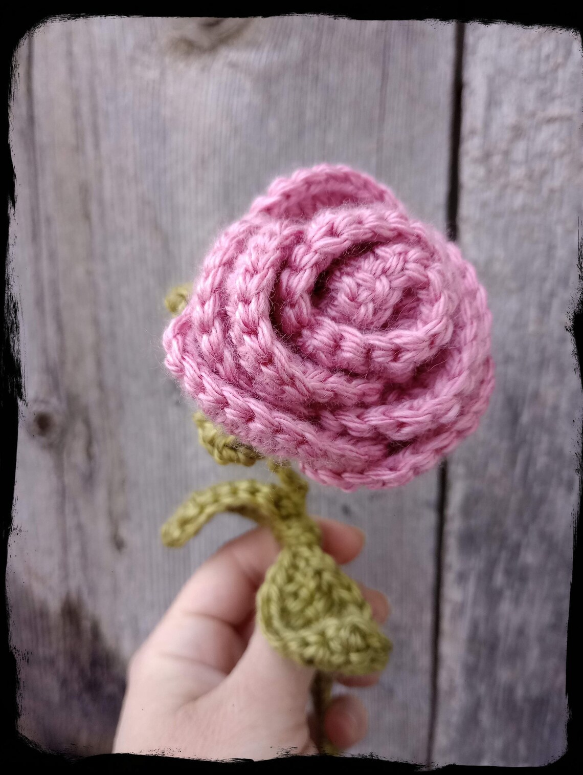 Old-fashioned Roses Crochet Pattern, Cabbage Roses, Easy Crochet ...