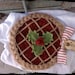 Christmas Pie Potholder Crochet Pattern: Easy Beginner Project (PDF ...