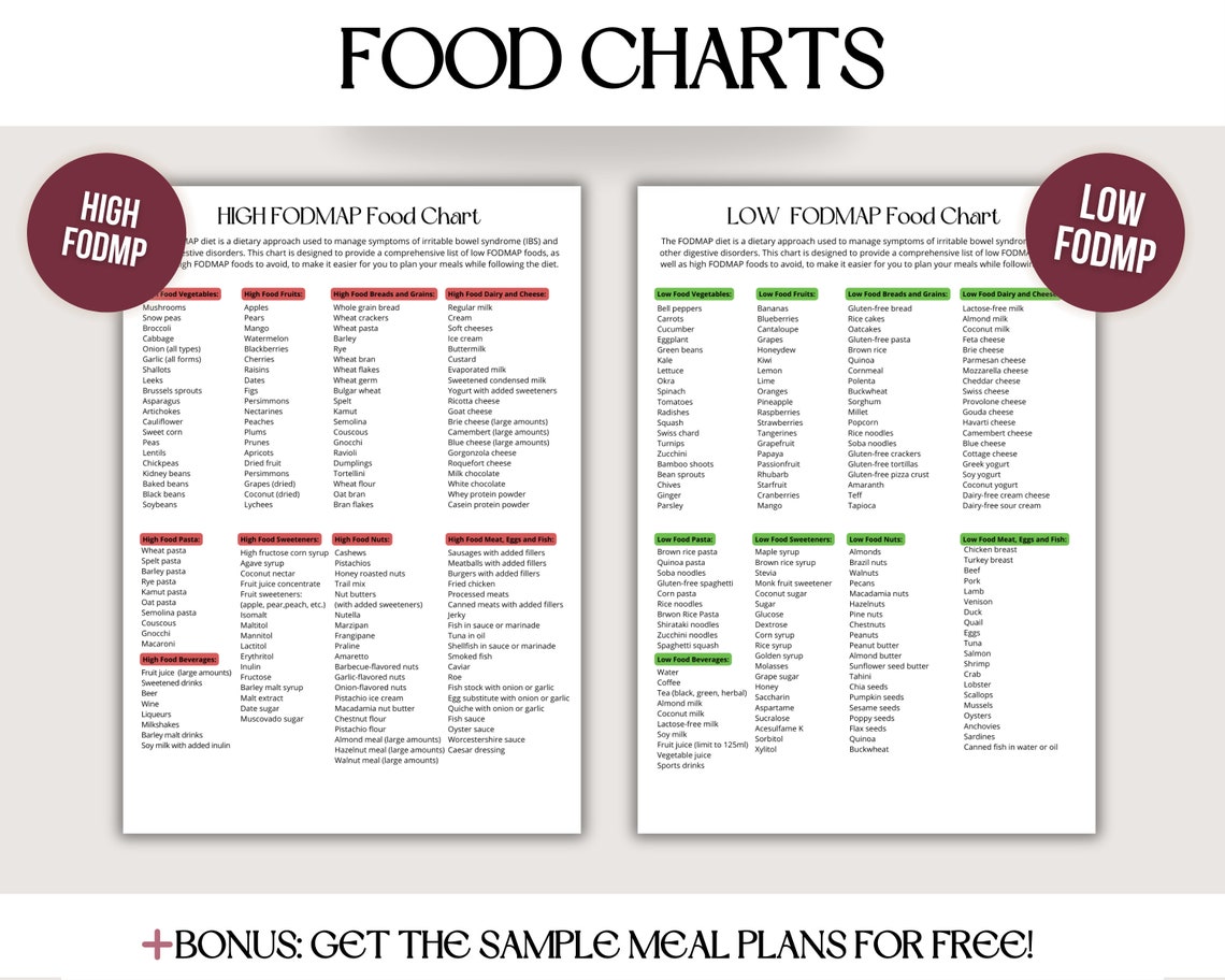 Fodmap Diet and Editable Grocery List Printable PDF, Low Fodmap Food ...