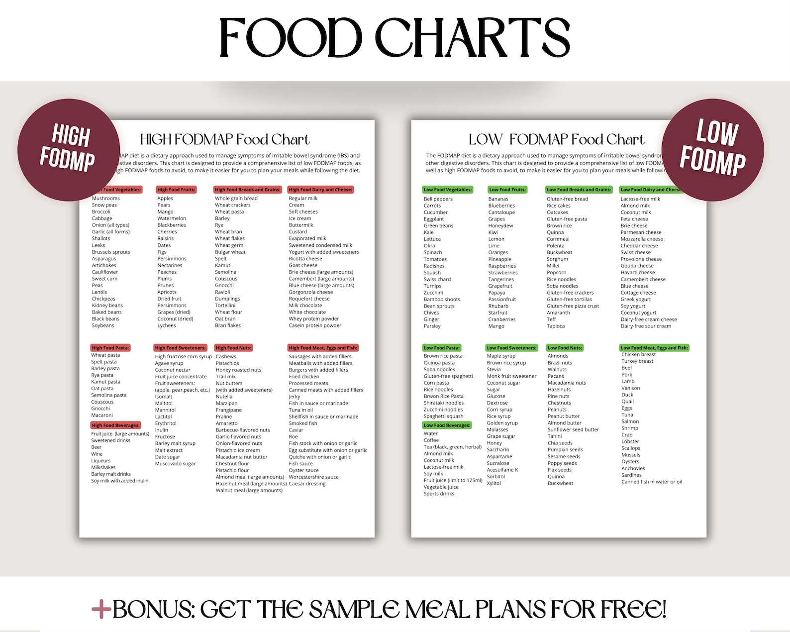 Fodmap Diet and Editable Grocery List Printable PDF, Low Fodmap Food ...