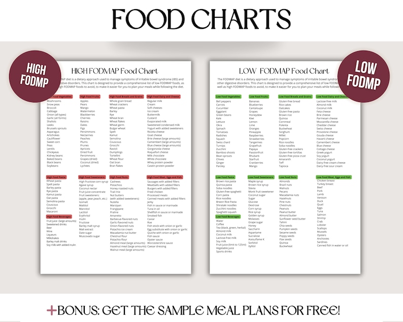 Fodmap Diet and Editable Grocery List Printable PDF, Low Fodmap Food ...