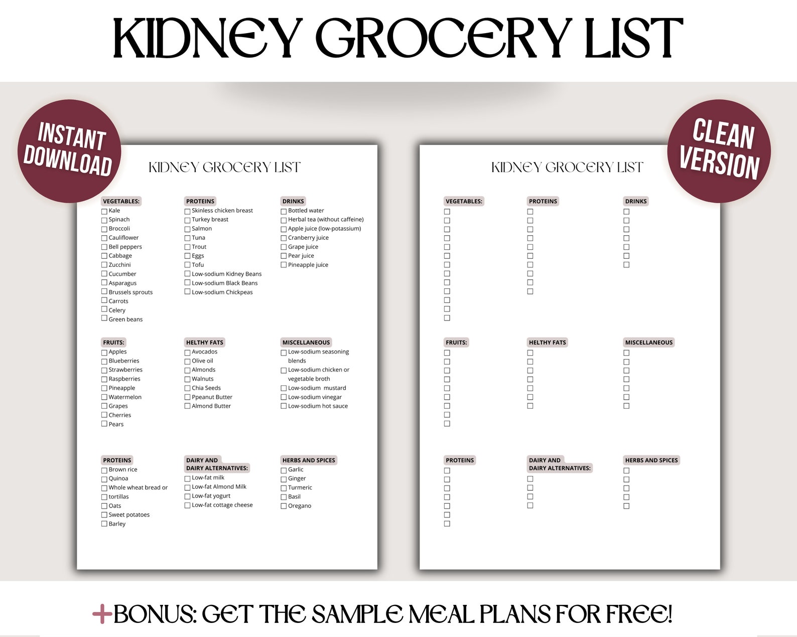 Kidney Diet and Grocery List Printable PDF, Kidney Disease Printable ...