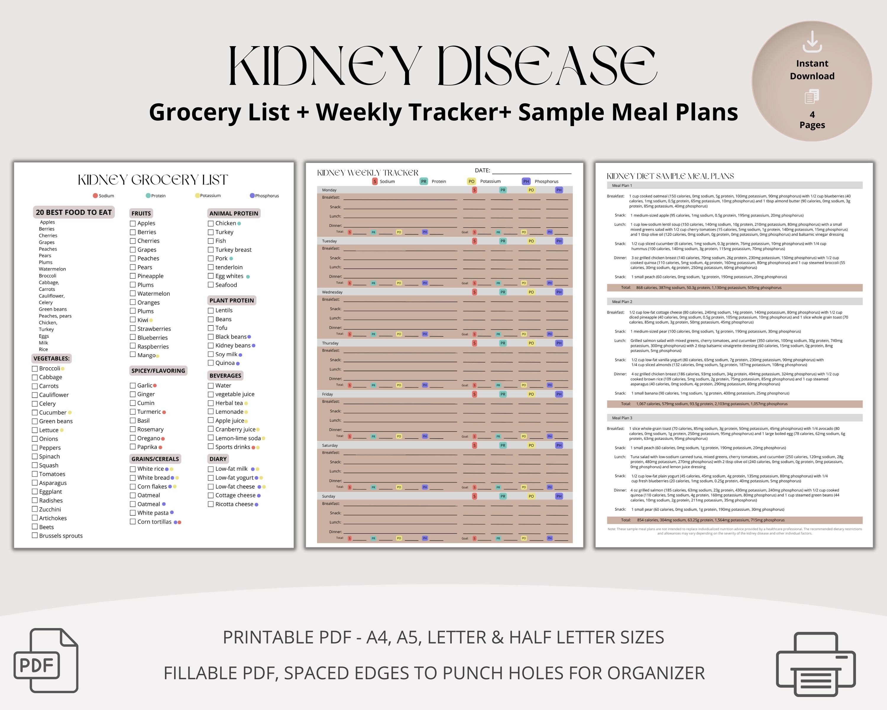 Kidney Diet and Grocery List Printable PDF Kidney Disease - Etsy Canada