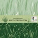 Grass Textures Digital Paper Patterns Seamless Digital Paper Pack ...