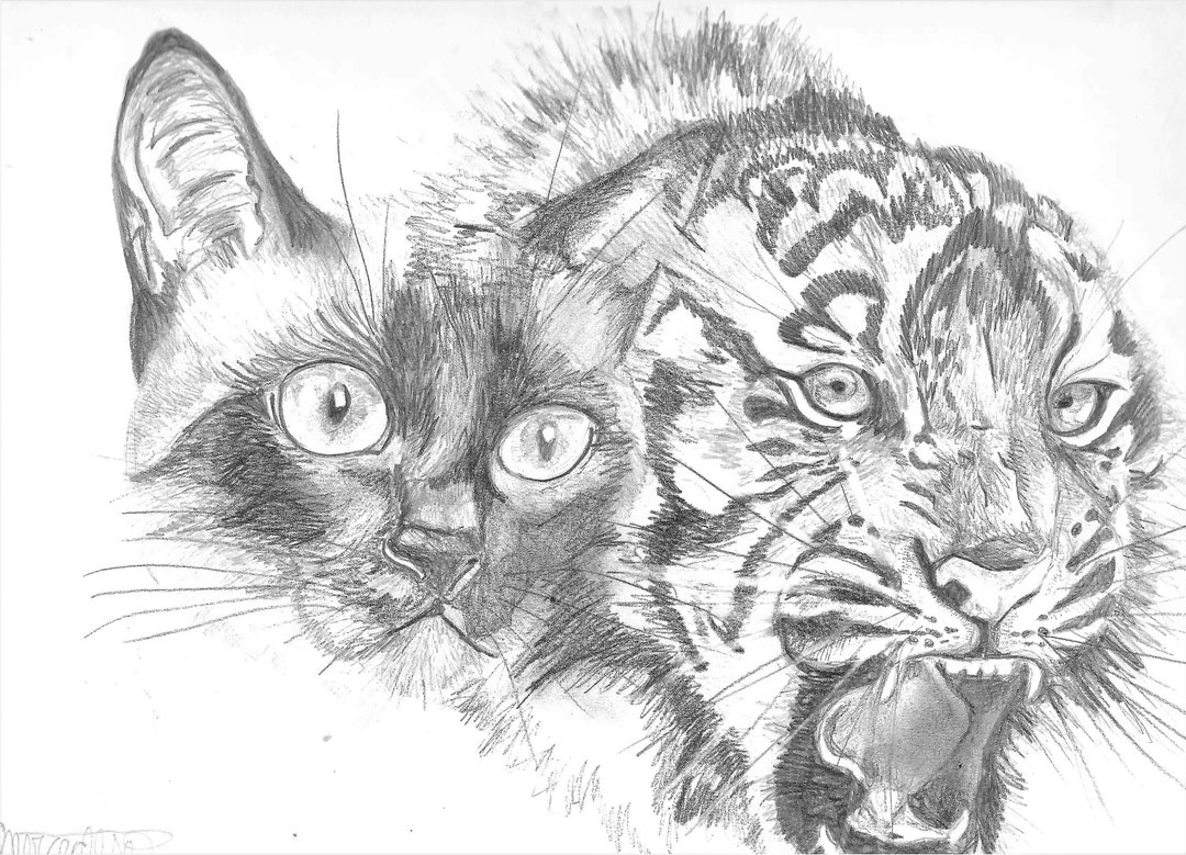 Cat and Tiger Pencil Drawing Original Wall Art for Kid's Room Gift for ...