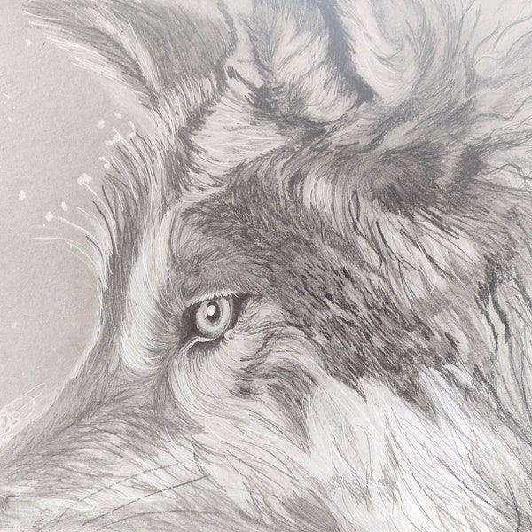 Beautiful Wolf Art - Etsy