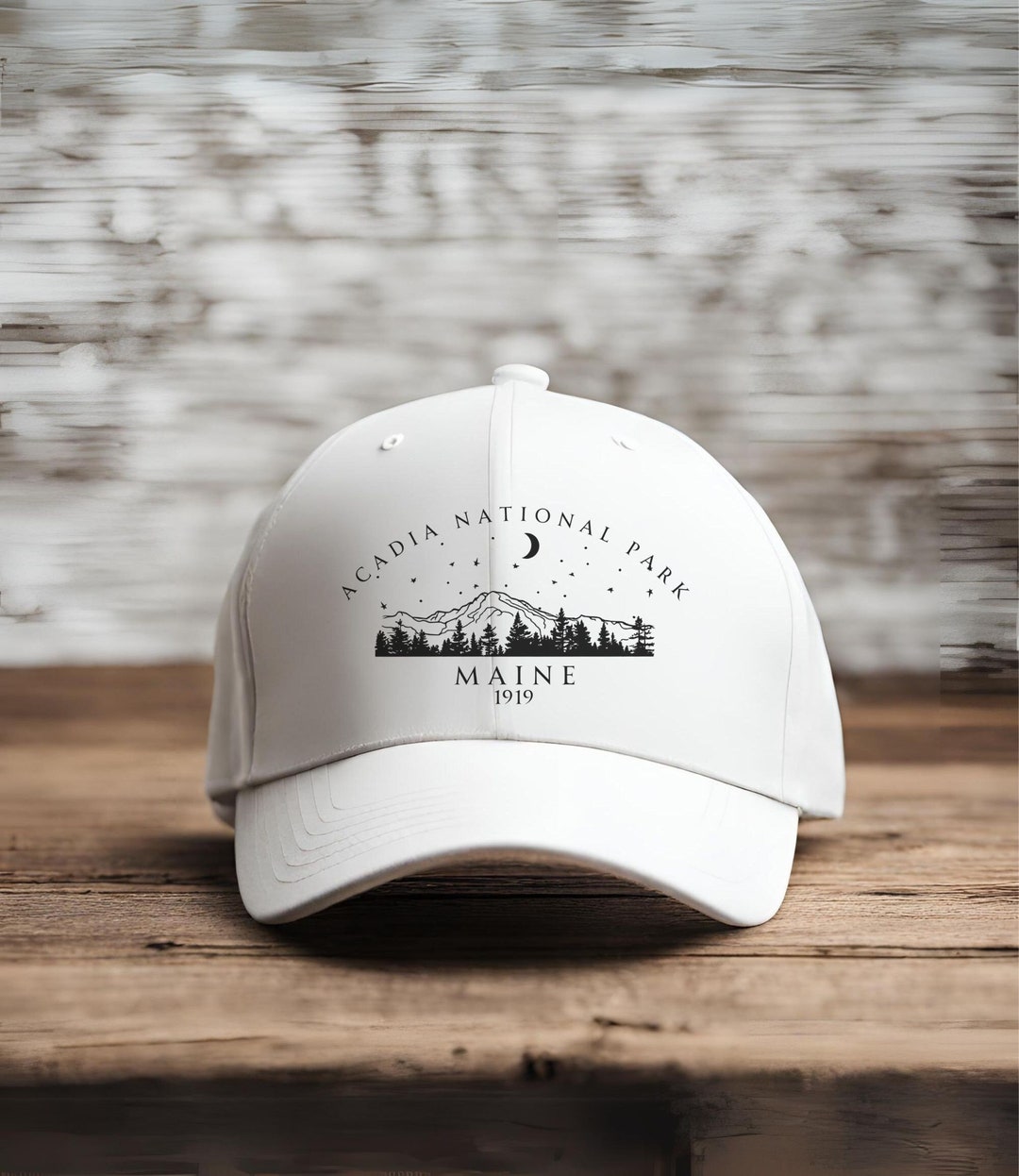 Acadia National Park Hat, Maine Vacation Cap, Unisex Trucker Hat ...