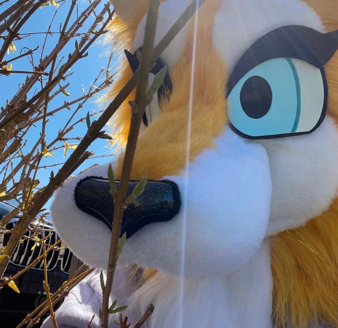 Lavafox Fursuit - Etsy UK