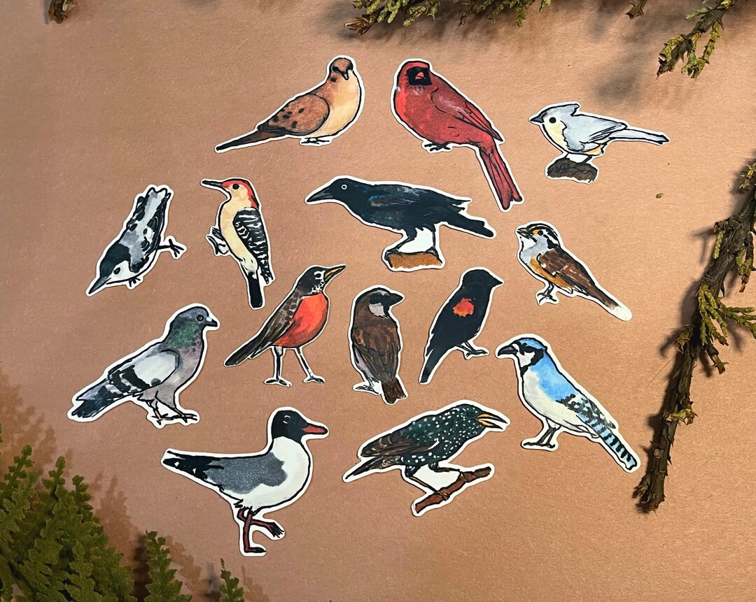 Backyard Bird Stickers Set of 14 Individual Stickers - Etsy