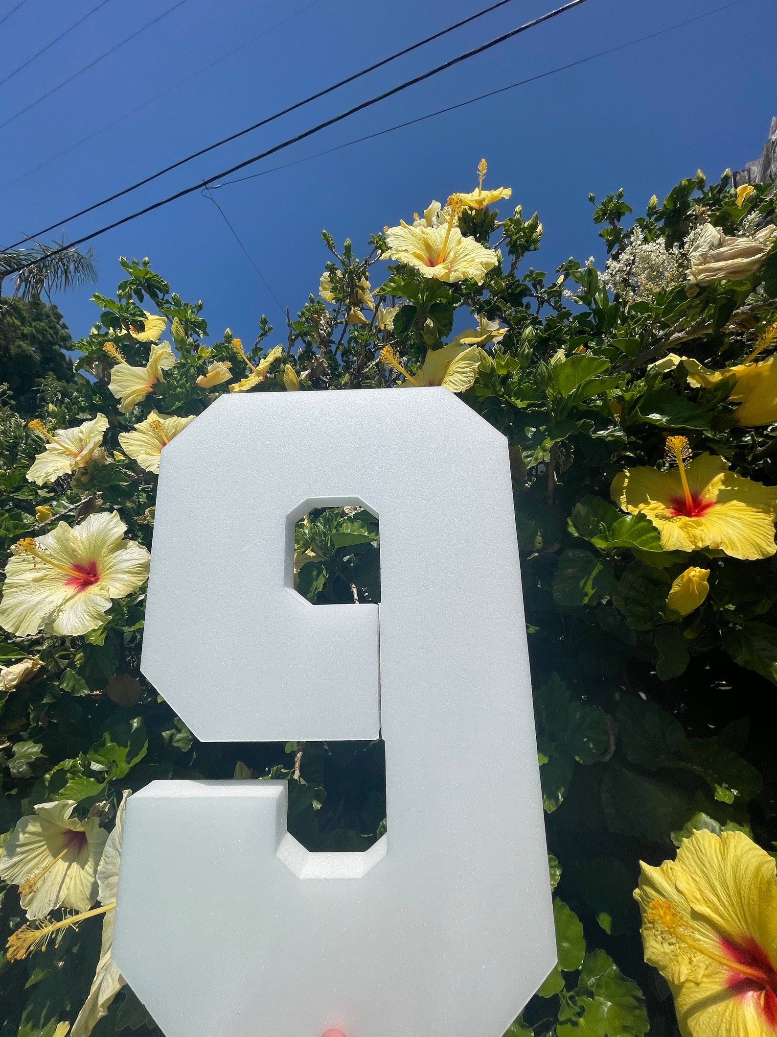 12" Foam Letters & Numbers 1" Thick - Etsy