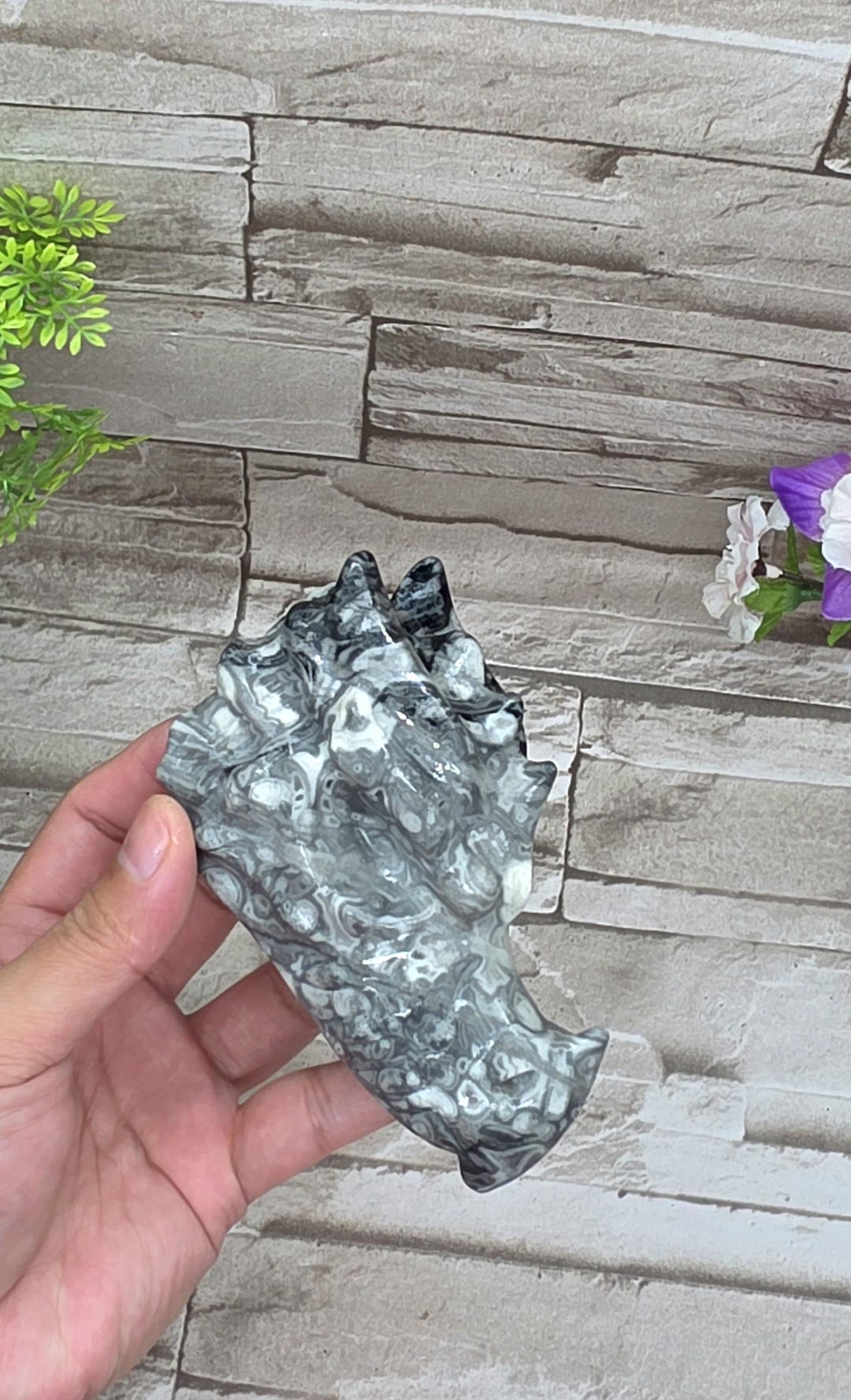 Crinoid Fossil Dragon Head / Dragons / Animal Totem / Chakra / Rocks ...