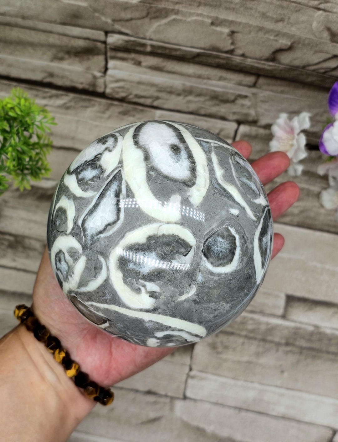 Big Thousand Eye Jasper Sphere / 3 Lbs / Shell Jasper / Home Decor ...