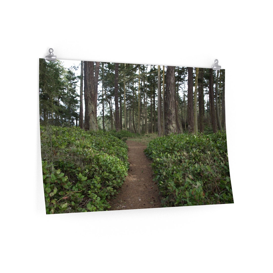 Premium Matte Horizontal Posters - Etsy