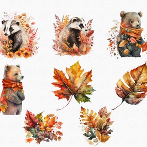 Autumn Woodland Watercolor Animal Clipart PNG Fall Floral Clipart for ...