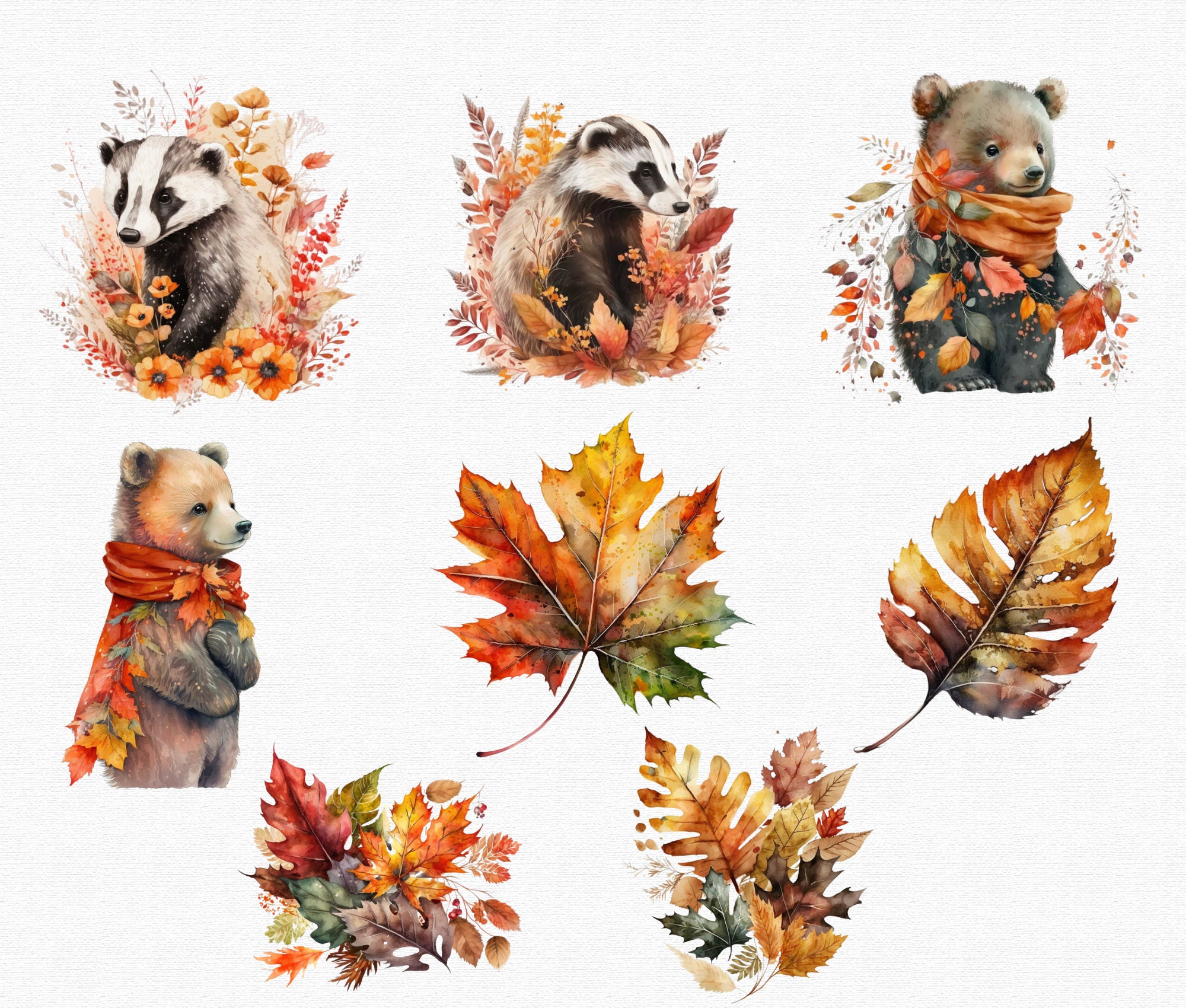 Autumn Woodland Watercolor Animal Clipart PNG Fall Floral Clipart for ...