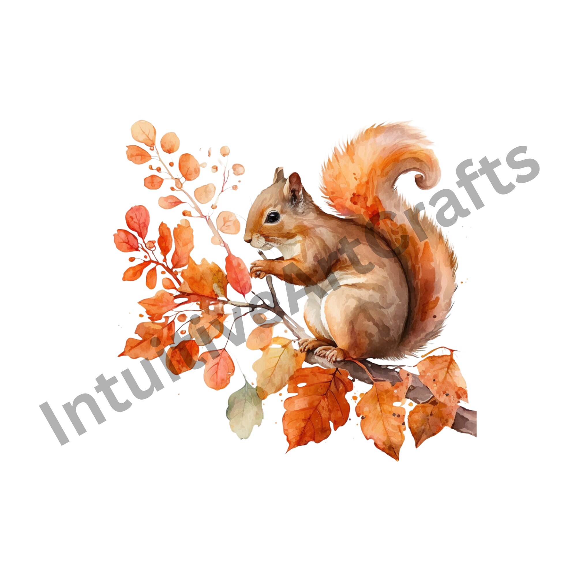 Autumn Woodland Watercolor Animal Clipart PNG Fall Floral Clipart for ...