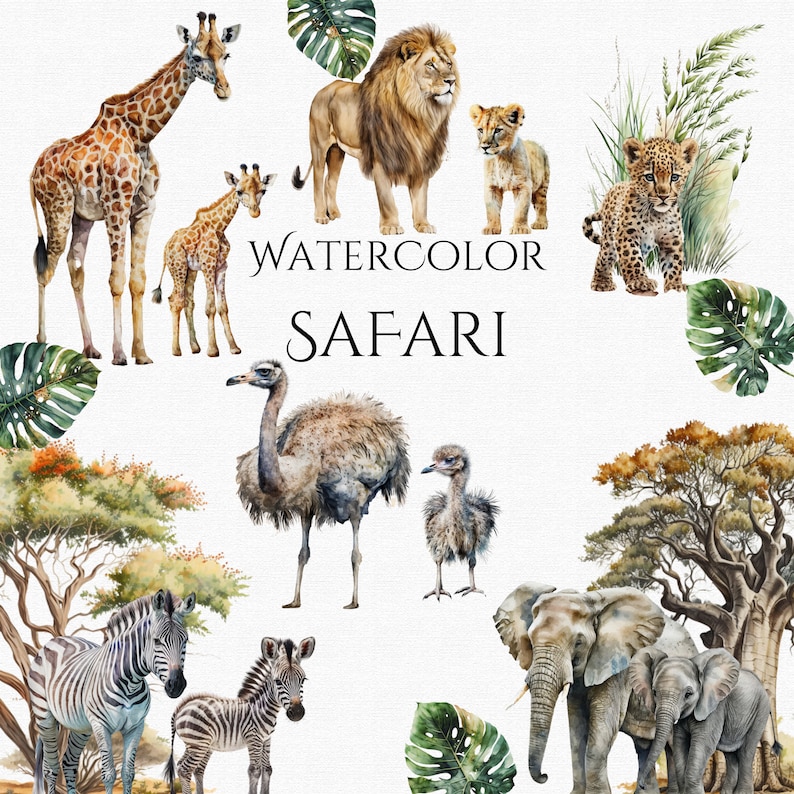 Cute Safari Animals Watercolor Clipart PNG Bundle Jungle - Etsy