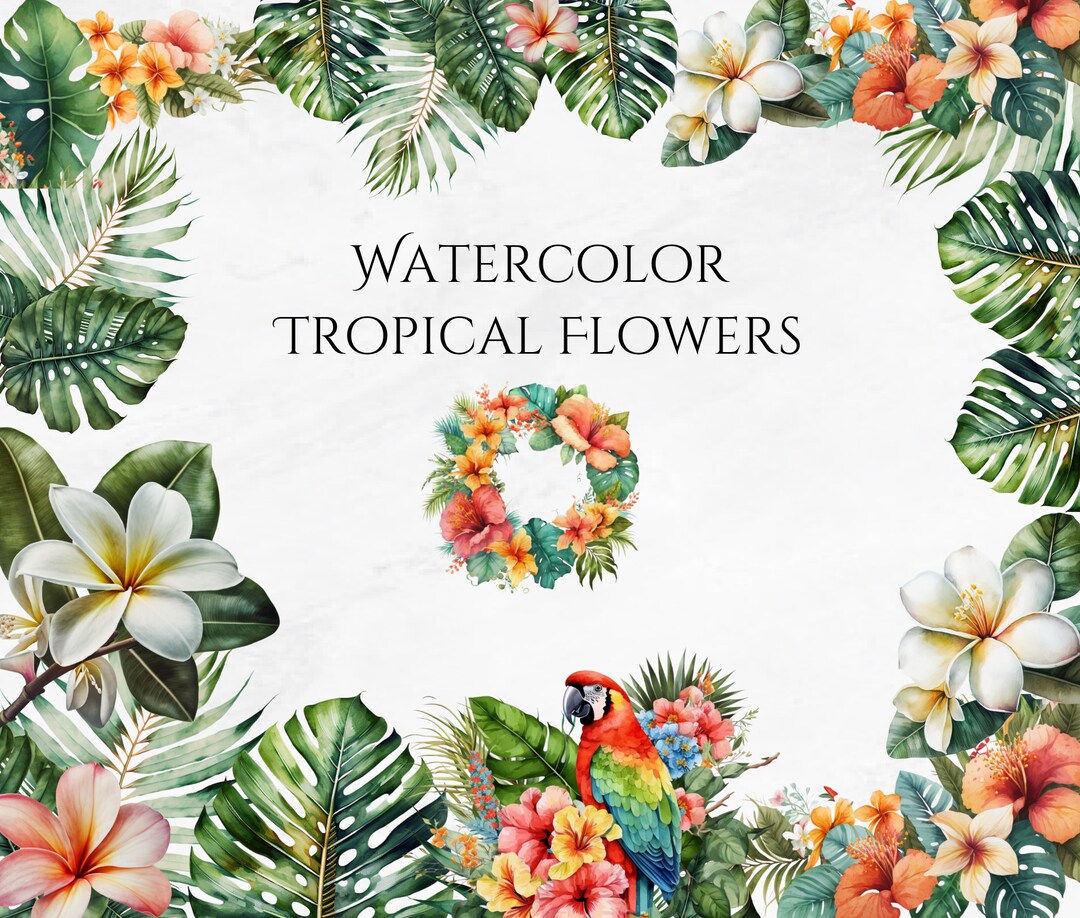 Watercolor Tropical Clipart Pack Summer Floral Tropical Elements ...