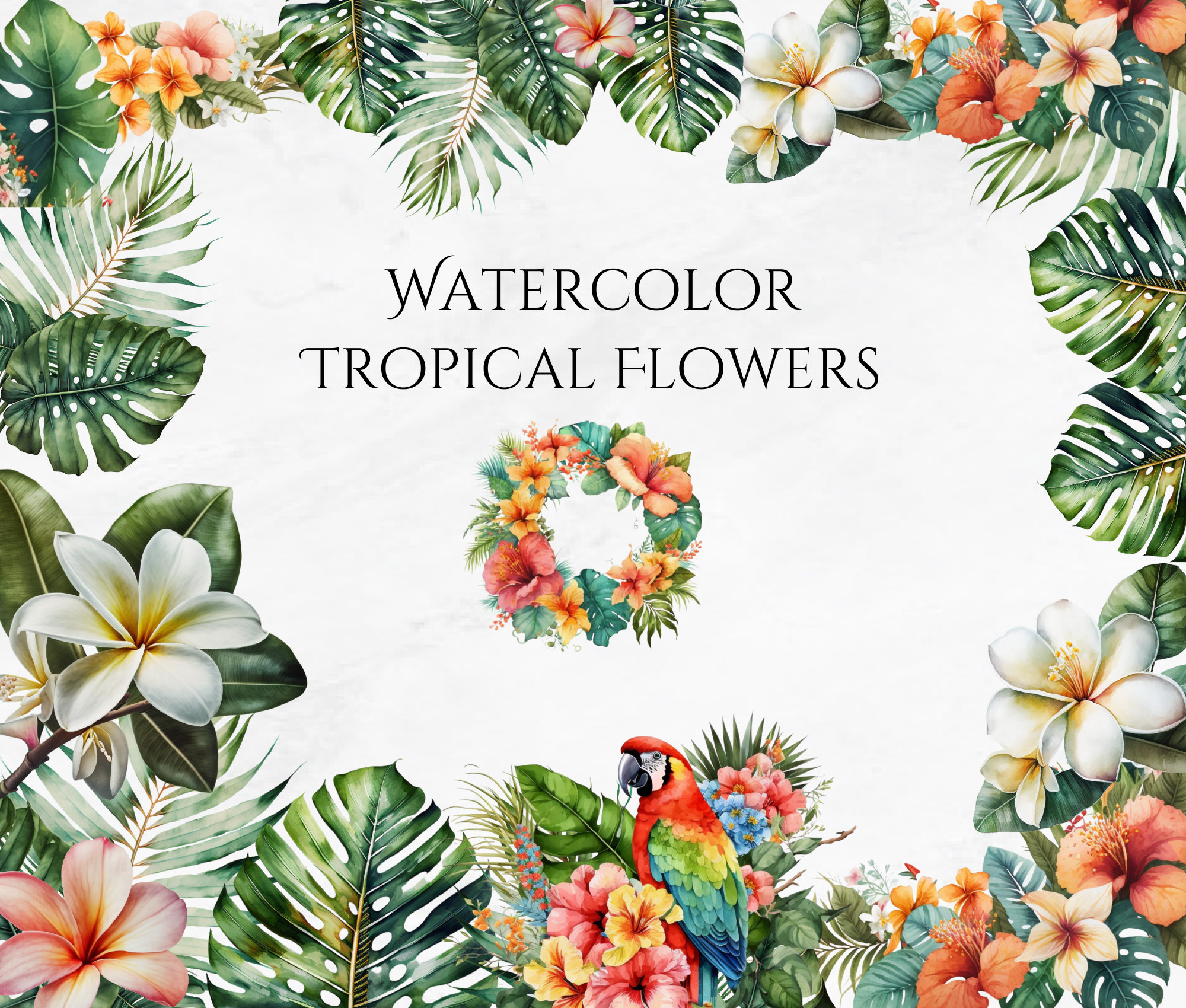 Watercolor Tropical Clipart Pack Summer Floral Tropical Elements ...