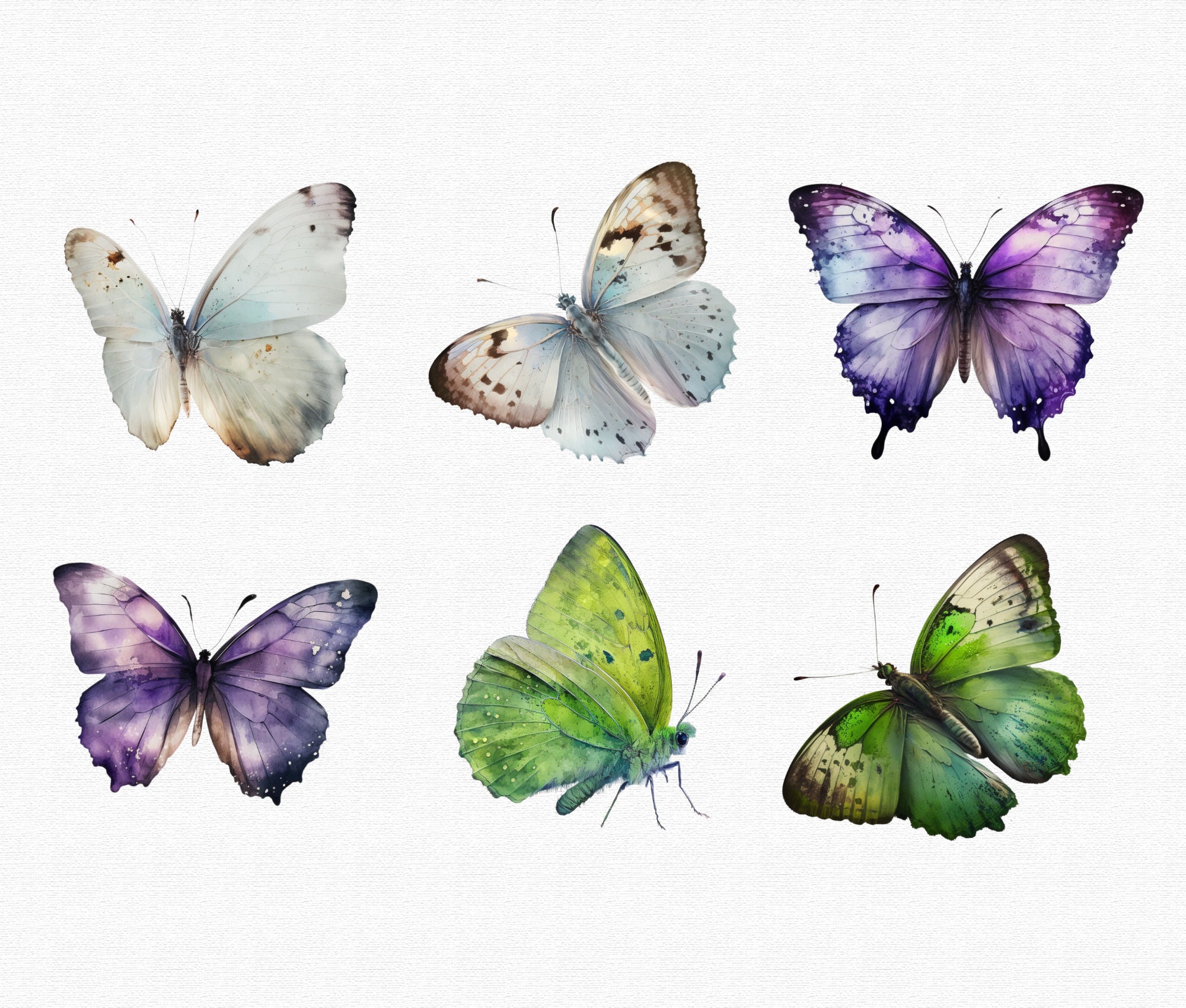 Floral Butterfly Watercolor Clipart Bundle Butterfly Illustration PNG ...