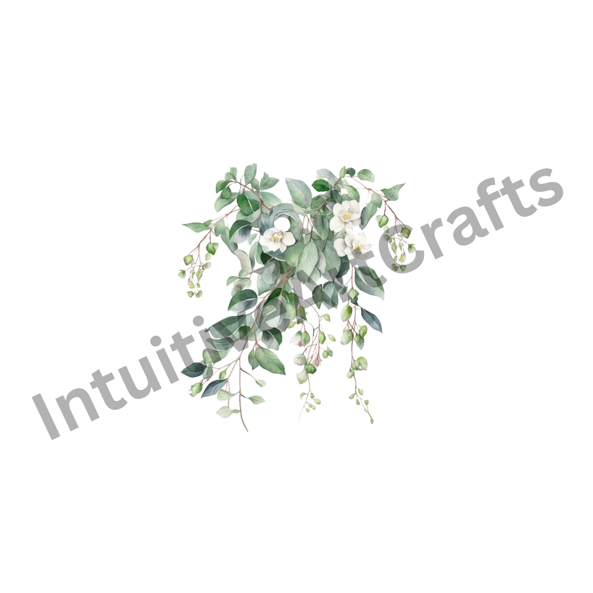 Watercolor Eucalyptus Clipart Floral Eucalyptus Elements Watercolor ...