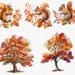 Autumn Woodland Watercolor Animal Clipart PNG Fall Floral Clipart for ...