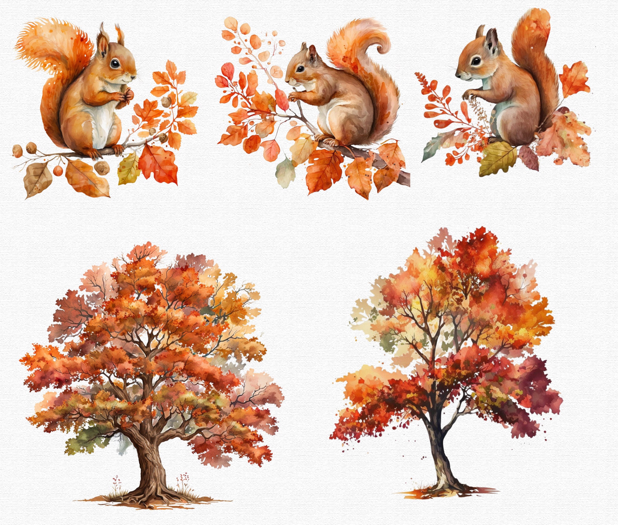 Autumn Woodland Watercolor Animal Clipart PNG Fall Floral Clipart for ...