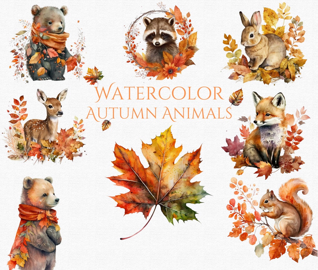 Autumn Woodland Watercolor Animal Clipart PNG Fall Floral Clipart for ...