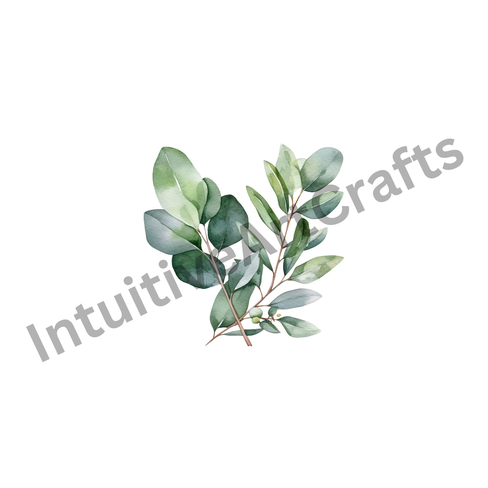 Watercolor Eucalyptus Clipart Floral Eucalyptus Elements Watercolor ...