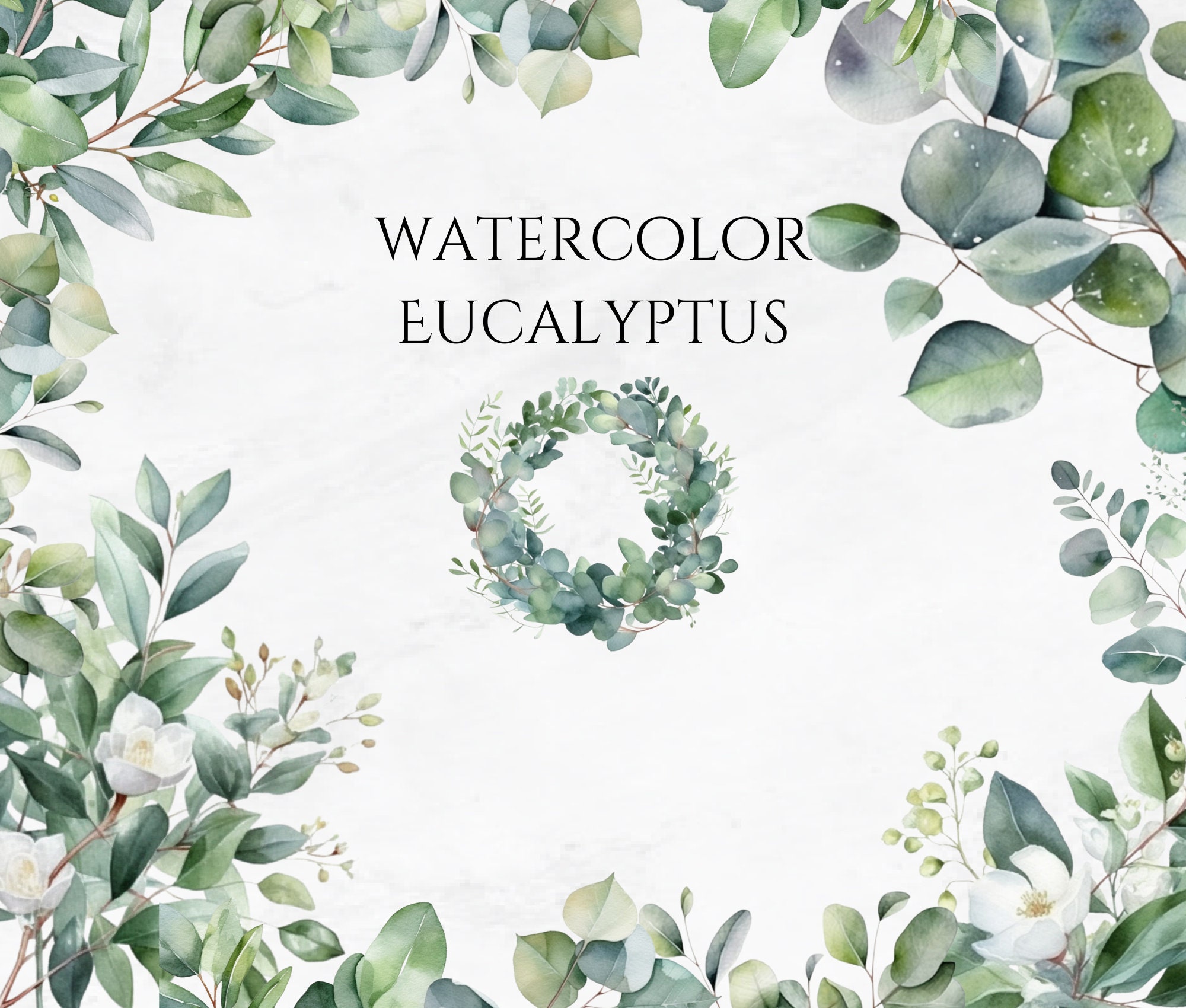 Watercolor Eucalyptus Clipart Floral Eucalyptus Elements Watercolor ...