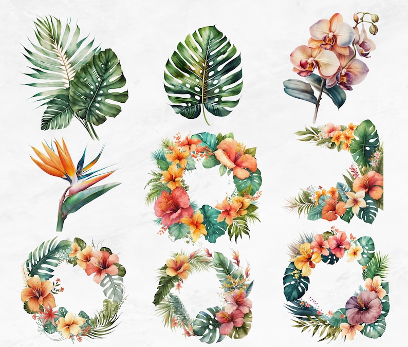 Watercolor Tropical Clipart Pack Summer Floral Tropical Elements ...