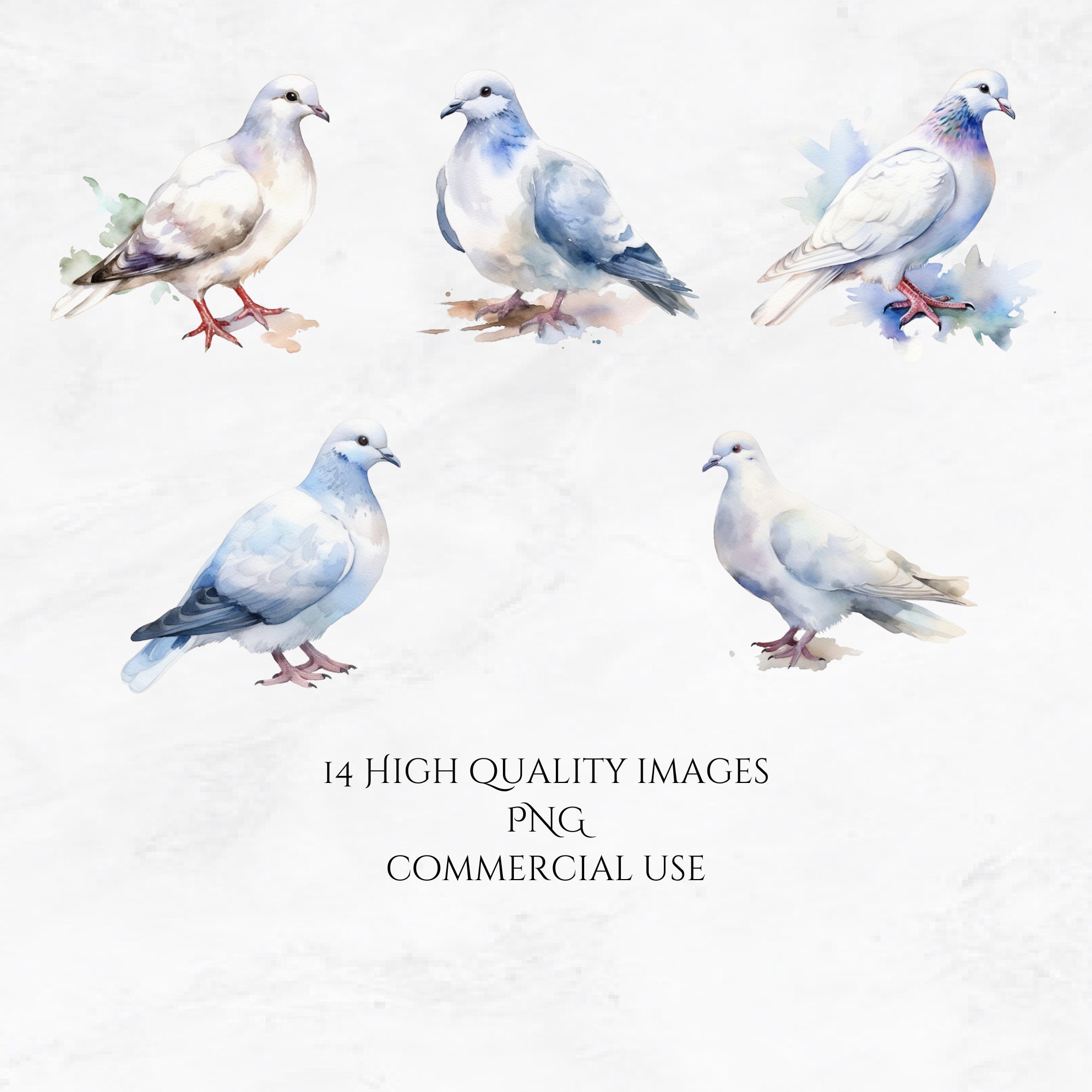 Watercolor Dove Clipart Romantic White Doves Wedding Invitation Dove of ...