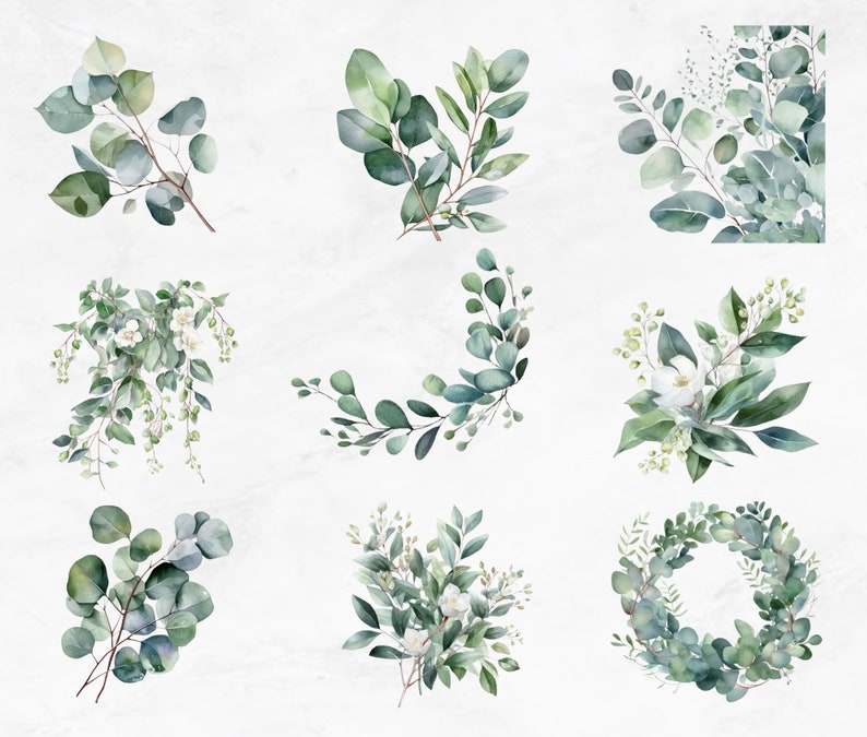 Watercolor Eucalyptus Clipart Floral Eucalyptus Elements Watercolor ...