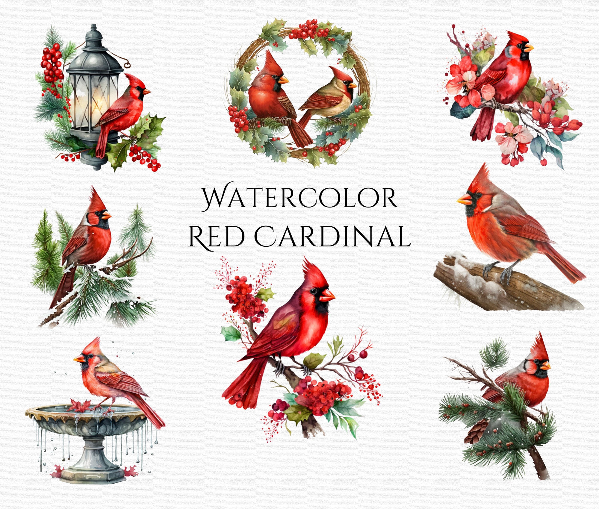 Clipart Of Cardinal
