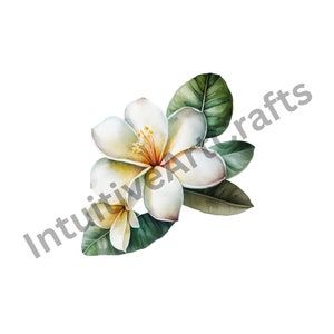 Watercolor Tropical Clipart Pack Summer Floral Tropical Elements ...